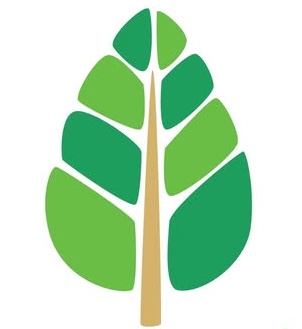 Teen Wisdom Therapy Bonsall | New Growth Counseling